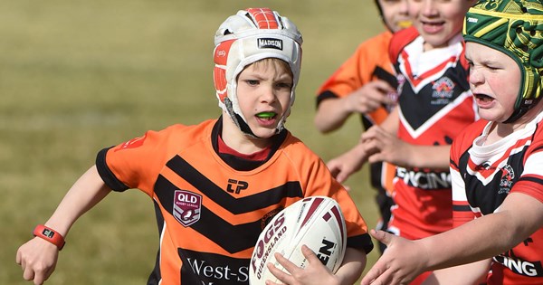 Toowoomba stalwart set to re-join the fold | QRL