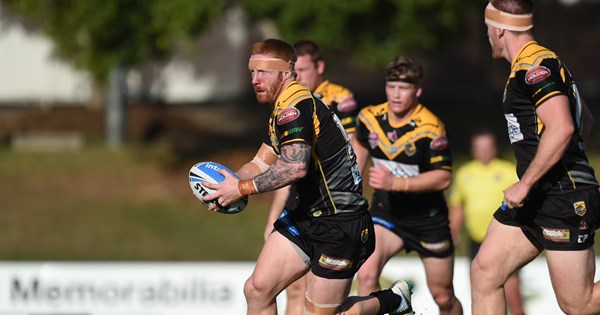 Experience counts for Sunshine Coast Falcons | QRL