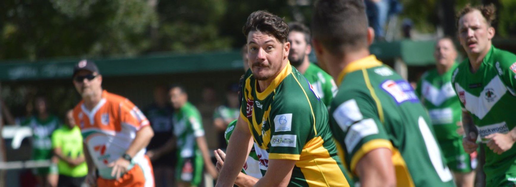 Stags shine against unlucky Bears | QRL