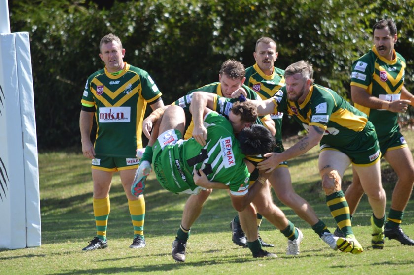 Stags shine against unlucky Bears | QRL