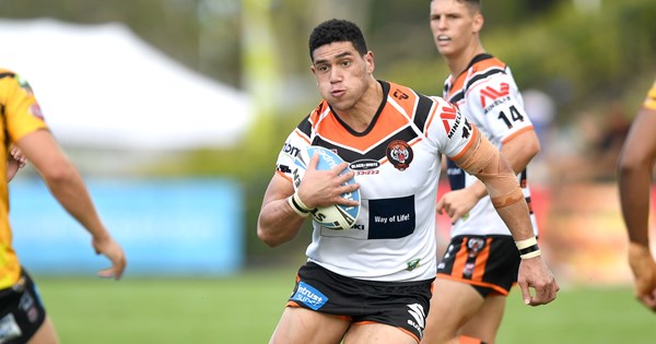 Tigers too good for Capras in Rocky | QRL